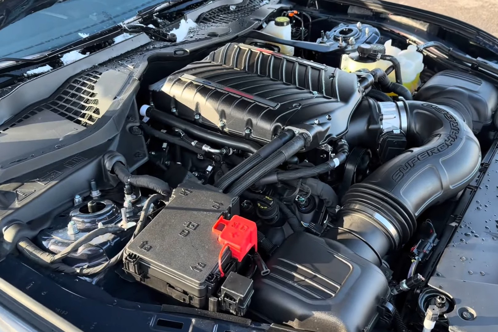 A Whipple Turns A Loaded Dark Horse Into An 800HP Sleeper