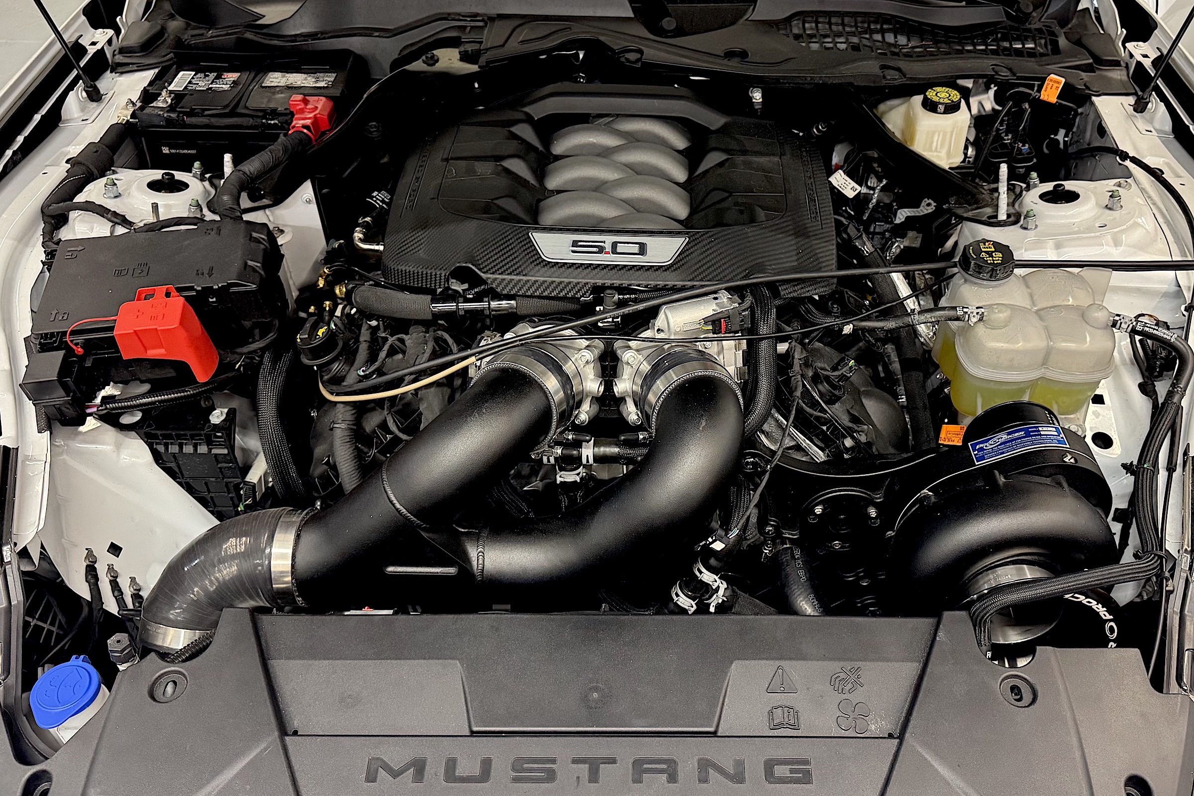 ProCharger P-1X Powers A Stock Dark Horse Past 1,000 Ponies