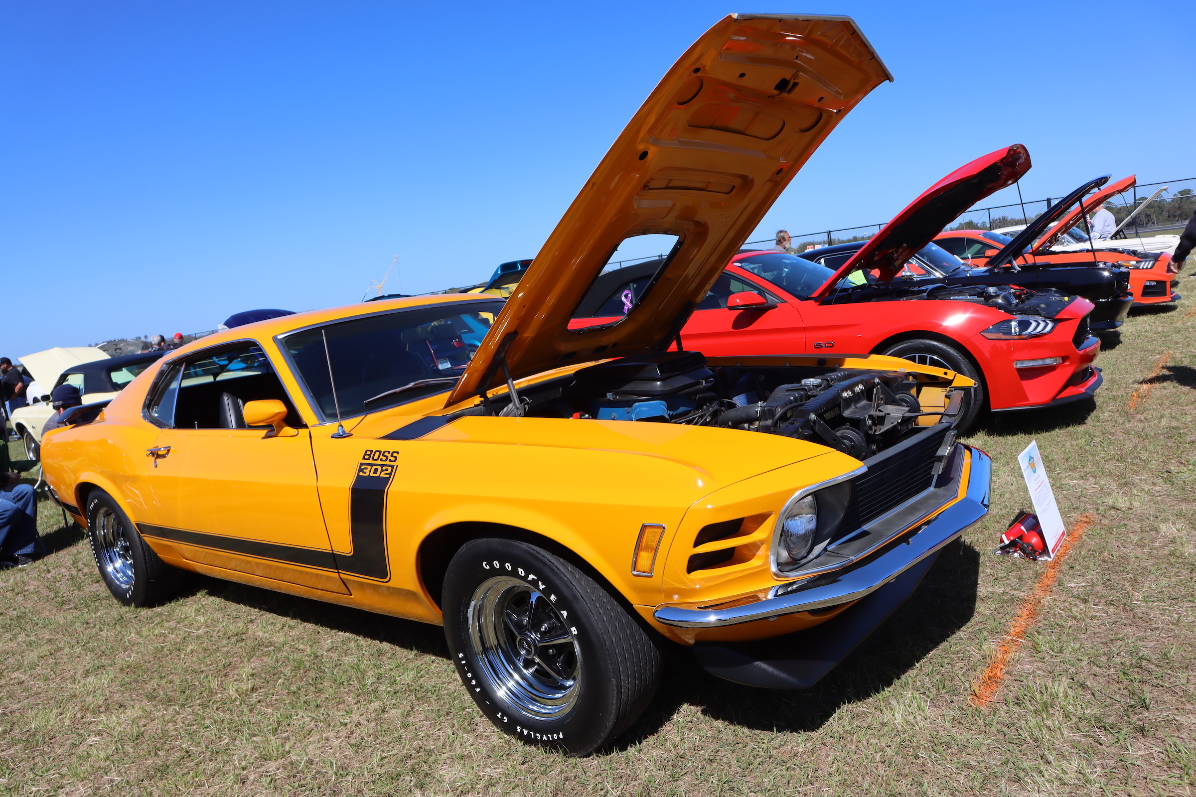Fabulous Fords Forever Partners With Mustang Week Long-Term