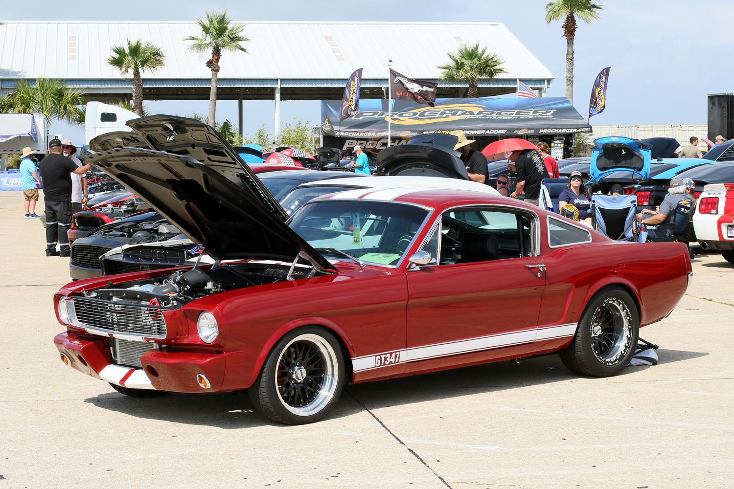 2026 Mustang Week Texas Finale: Car Show & Mustang Mayhem